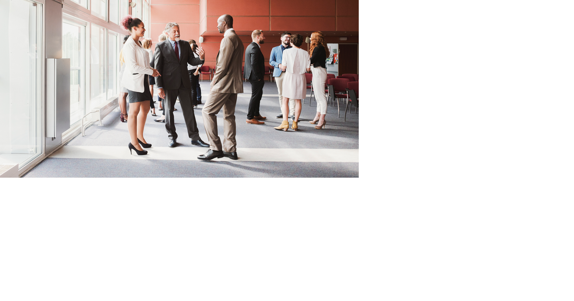 Richard McIntosh answers the question “What do lobbyists do?”