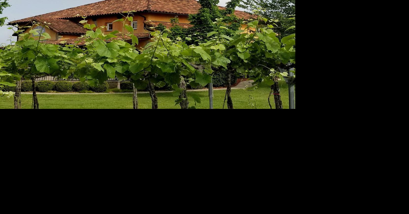 8 great wineries in the St. Louis region