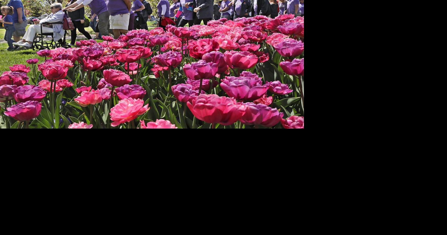 Sunshine and seasonal warmth? Well hello spring – St. Louis missed you