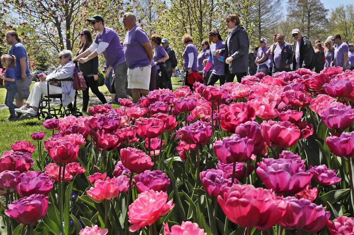 Sunshine and seasonal warmth? Well hello spring – St. Louis missed you
