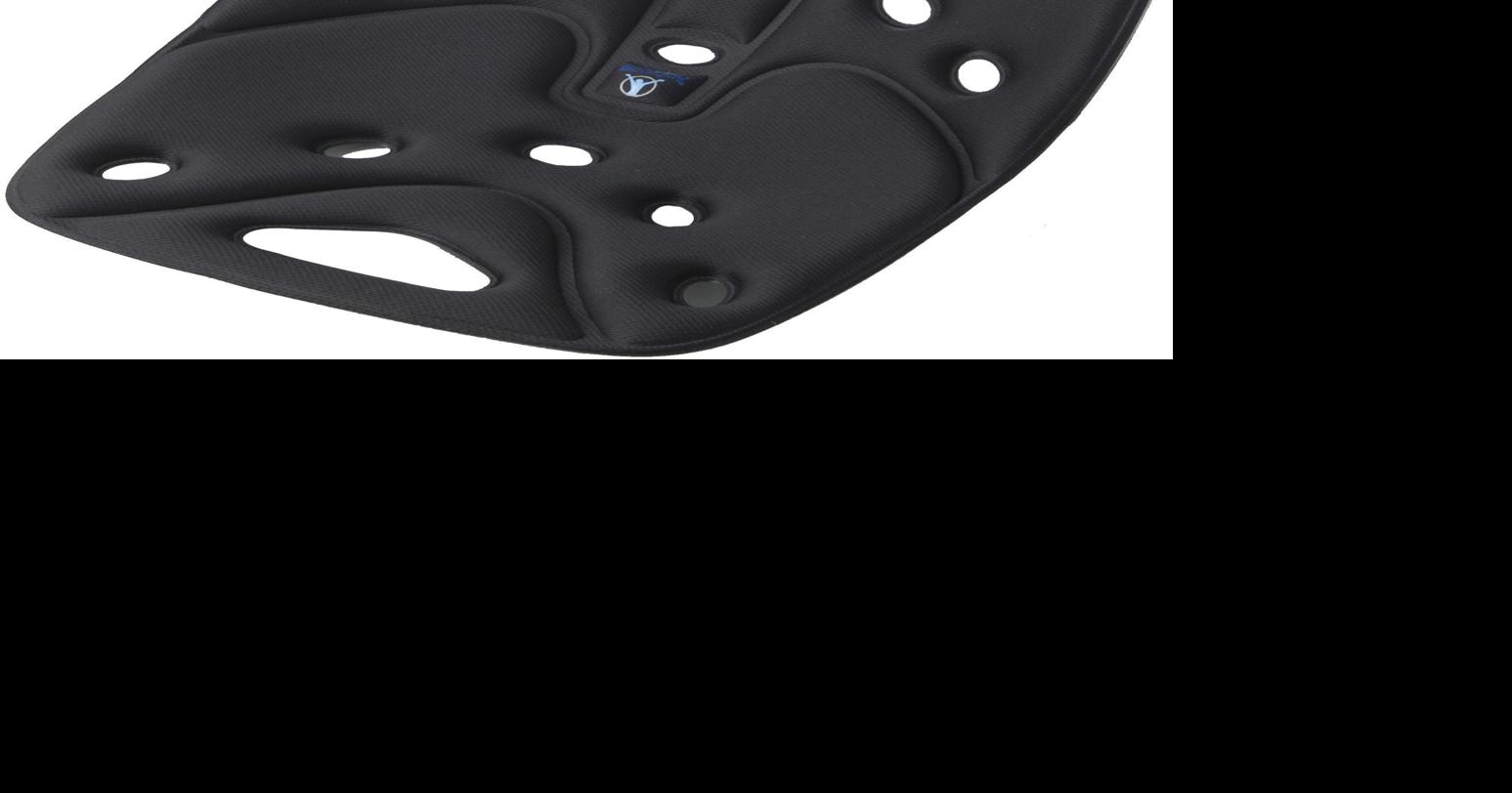 Product Pick: Backjoy SitSmart Posture Plus Seat