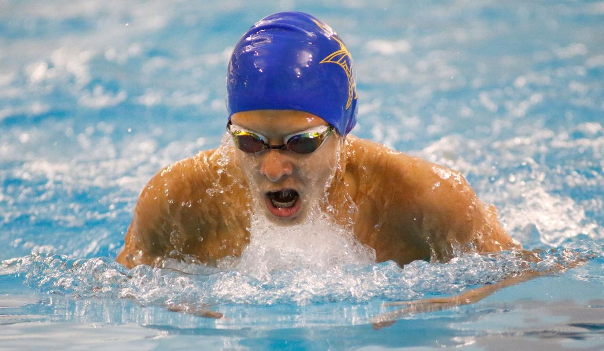 Francis Howell rolls into state meet on the strength of fifth ...