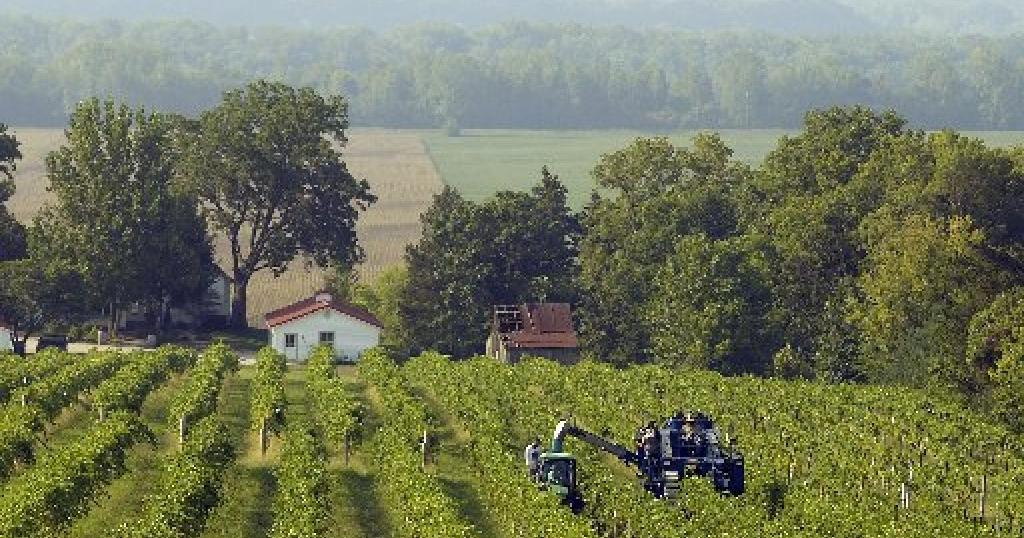 Rating wine, spodee-odee, rating wine