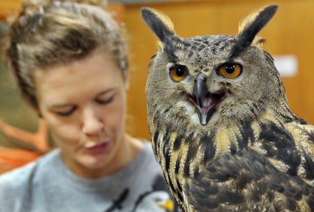 The World Bird Sanctuary is hosting an Open House