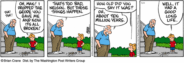 St. Louis Post Dispatch Comic Strips | semashow.com