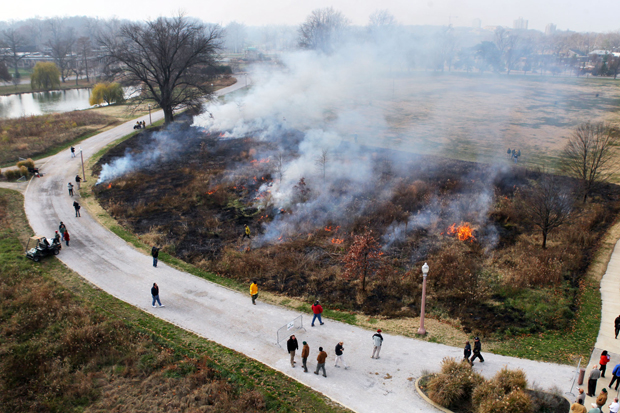 Forest Park controlled burn will have to be tried again