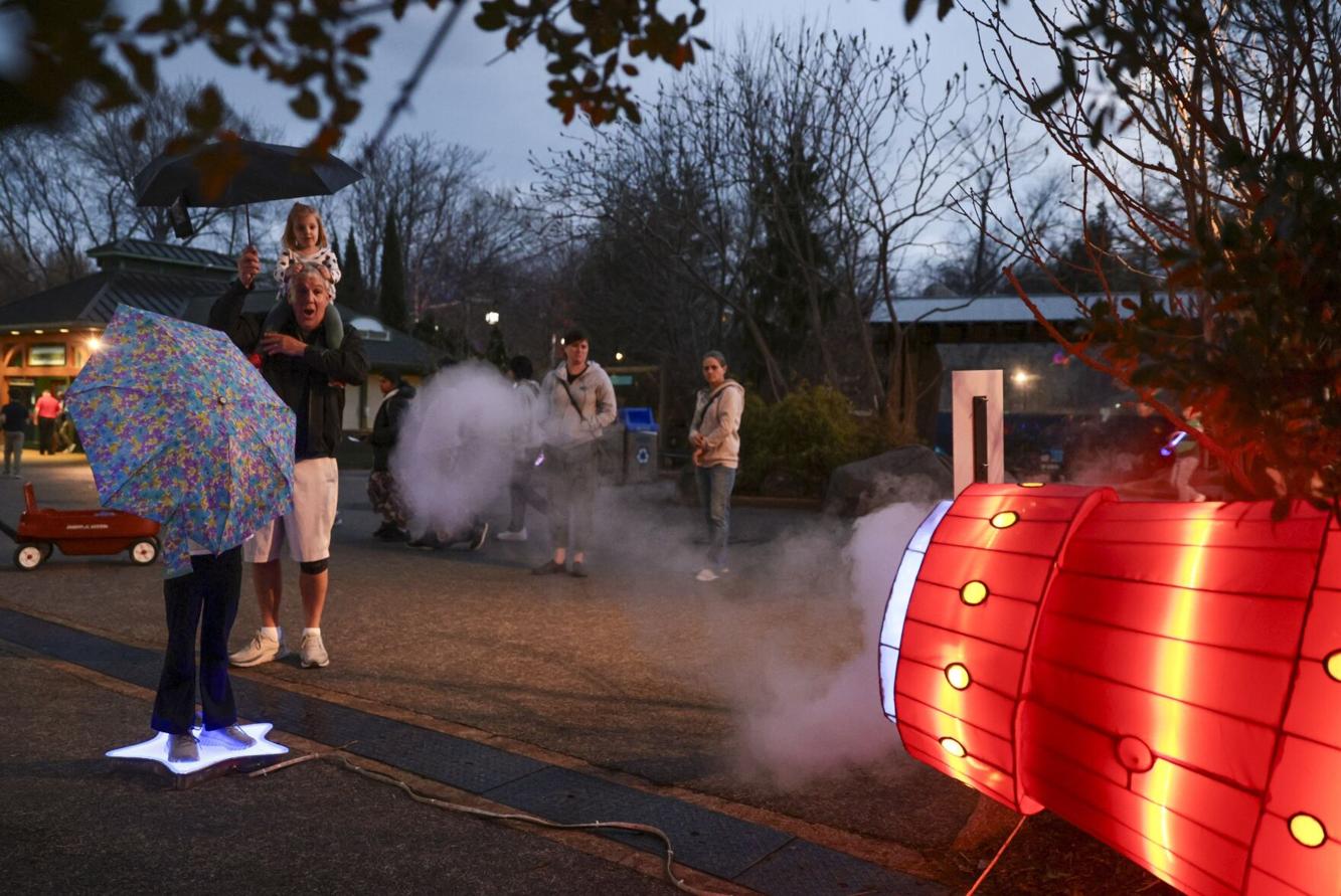 St. Louis Zoo's Animals Aglow features interactive light displays