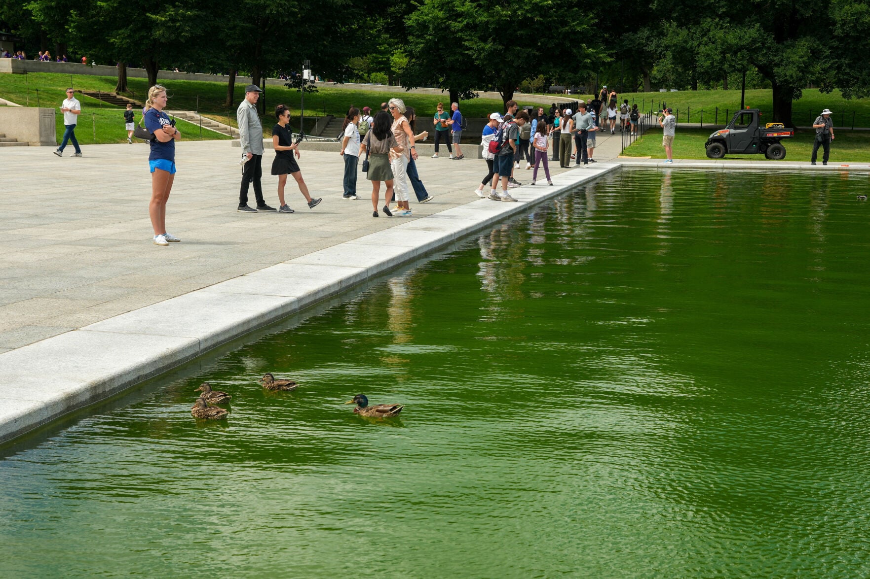 Ex-US Olympian indicted in alleged Reflecting Pool vandalism