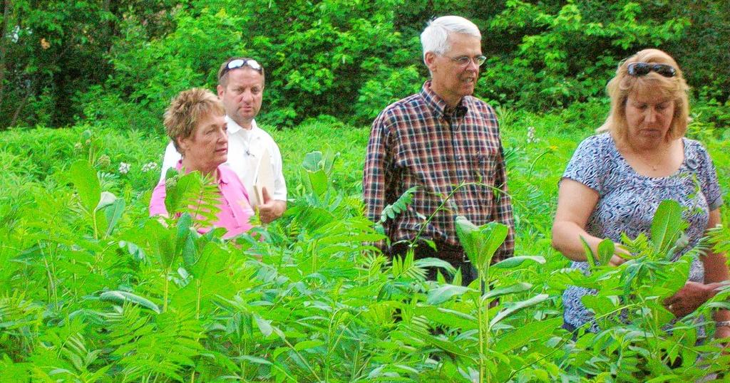 Meeting agenda includes a walk through the woods