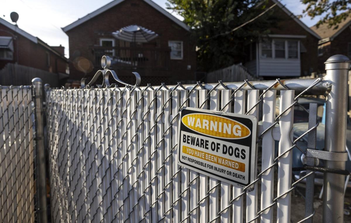 St. Louis prosecutors drop animal abuse charges