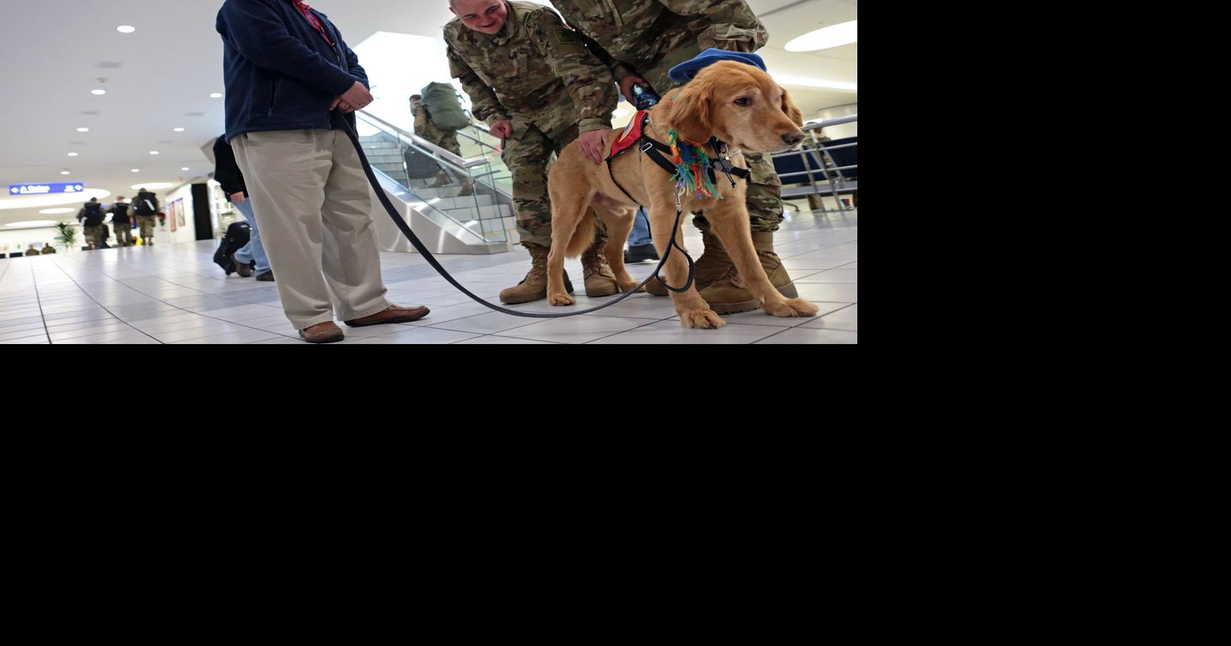 Fake service animals could be collared under bill approved by Missouri ...