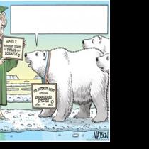 May 16, 2008 Punch Line Cartoon