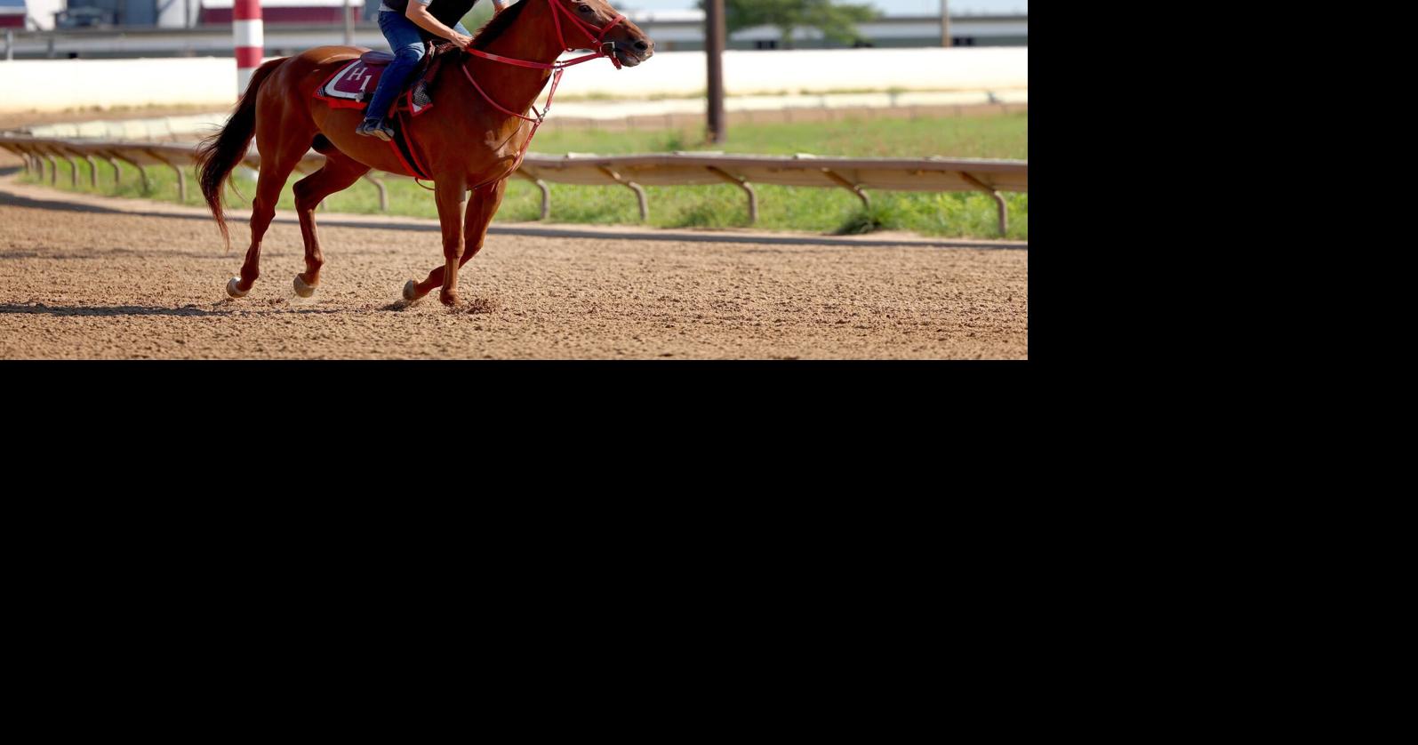 Gelding, 13, wins as one of nation’s oldest racehorses