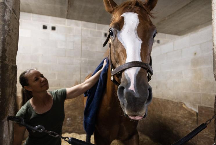 $250,000 St. Louis Derby is showcase of Fairmount Park's 100th year ...