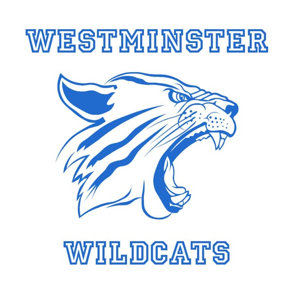 Defending Class 1 champion Westminster off to another big lead at state ...