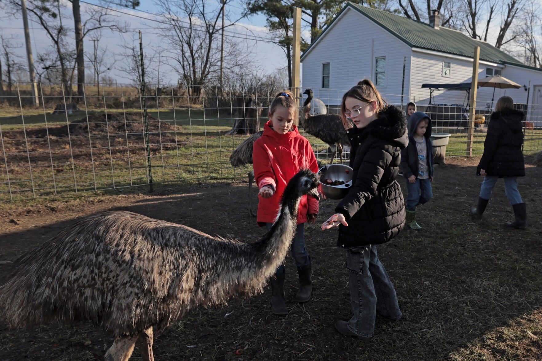 Photos: Alpha-gal syndrome in Missouri