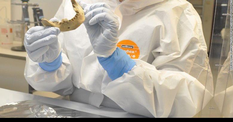 DNA discovery reveals genetic history