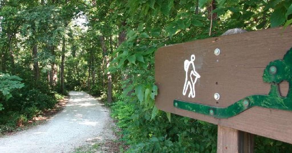 Whitecliff Park Trail