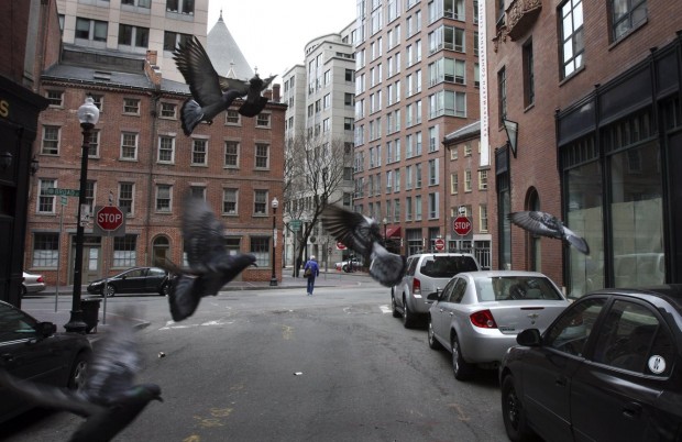 "Shelter-in-place"- the eerily empty streets of Boston