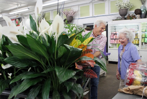 St Louis Flower Market On Lasalle Street | Best Flower Site