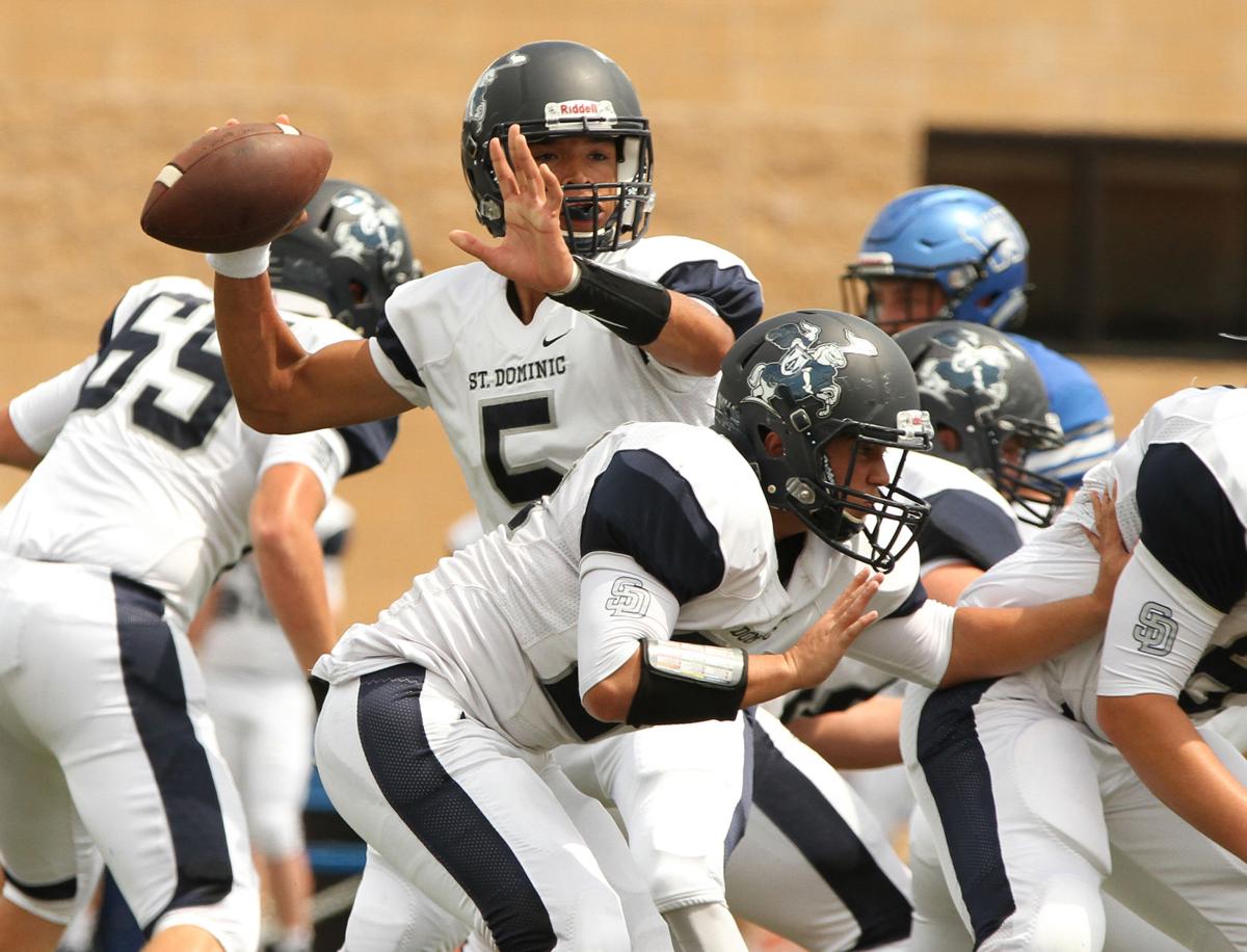 Roundup: St. Dominic improves to 4-0 by beating Borgia