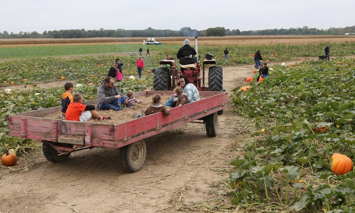 It's pumpkin time at Relleke's in Granite City