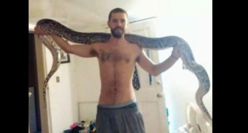 Missing in Missouri: 20-foot pet python, named SS Wraps | Regional ...