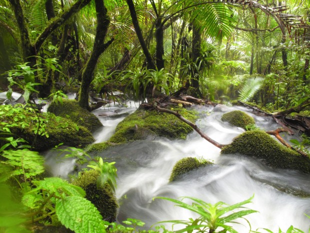 Outside tourist-filled San Juan, wet and wild Puerto Rico