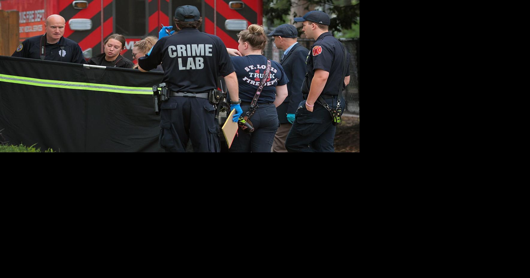 United Way official gets new job heading St. Louis area anti-homicide ...