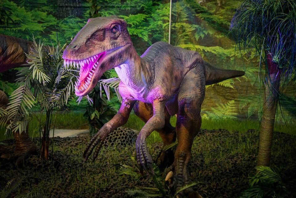 'Discover the Dinosaurs' exhibit comes to America's Center