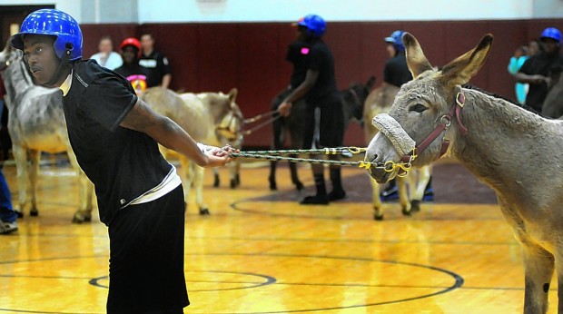 PHOTOS: Donkey dunks in Belleville
