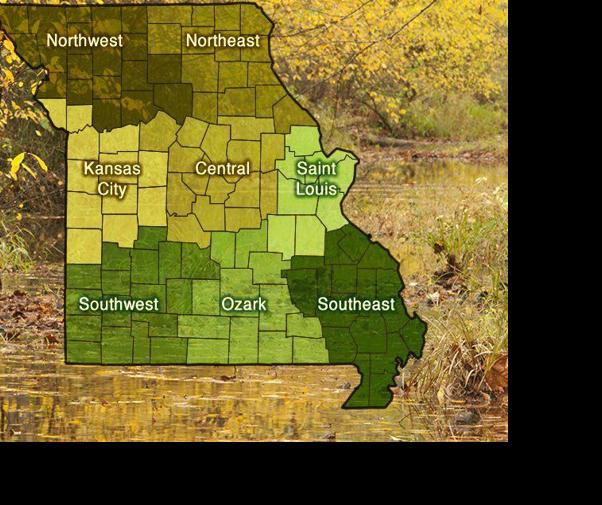 New members added to Missouri House Conservation Committee ahead of ...