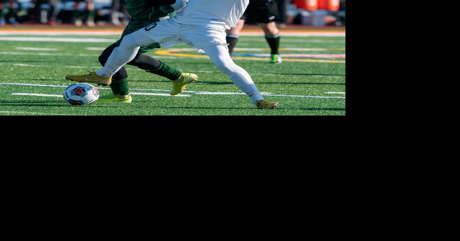 Canfield's scoring spurt lifts defending 2A champion Crystal Lake South ...