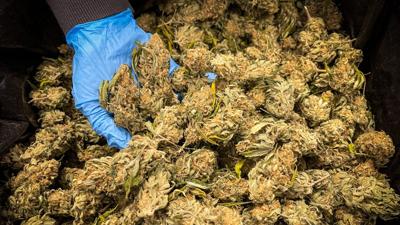 Missouri OKs license for investors linked to cannabis recall