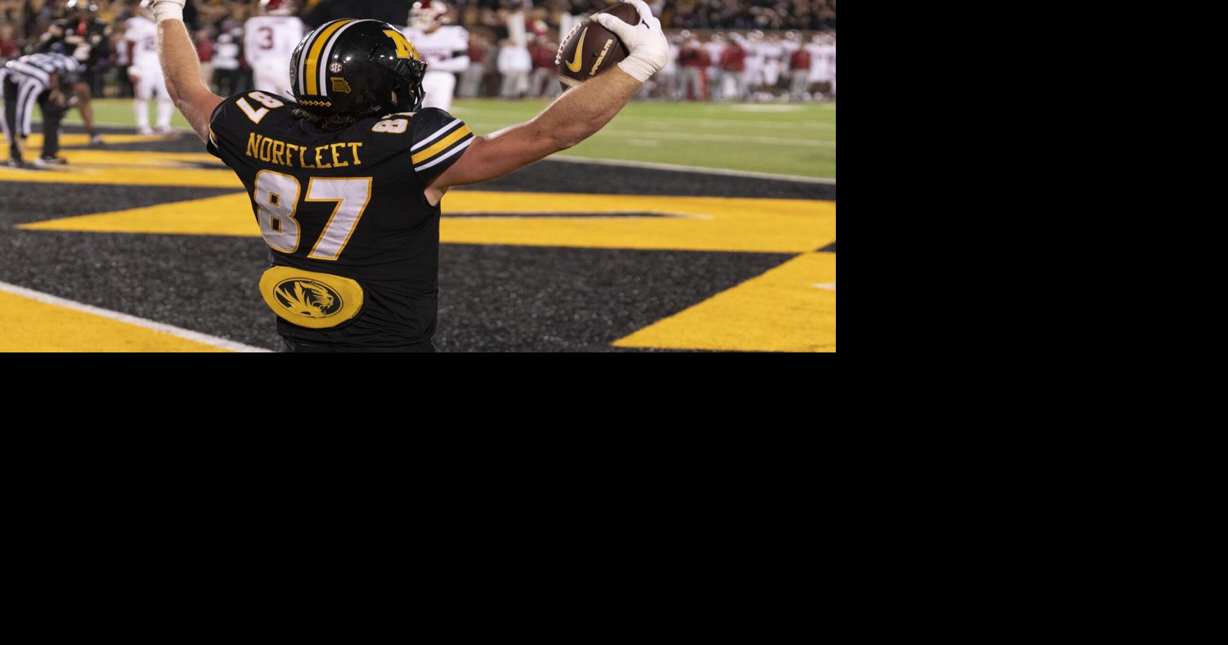 Mizzou football snapshots: Snap counts, PFF grades from Tigers' win ...