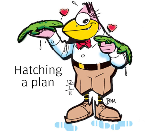 Hatching a plan