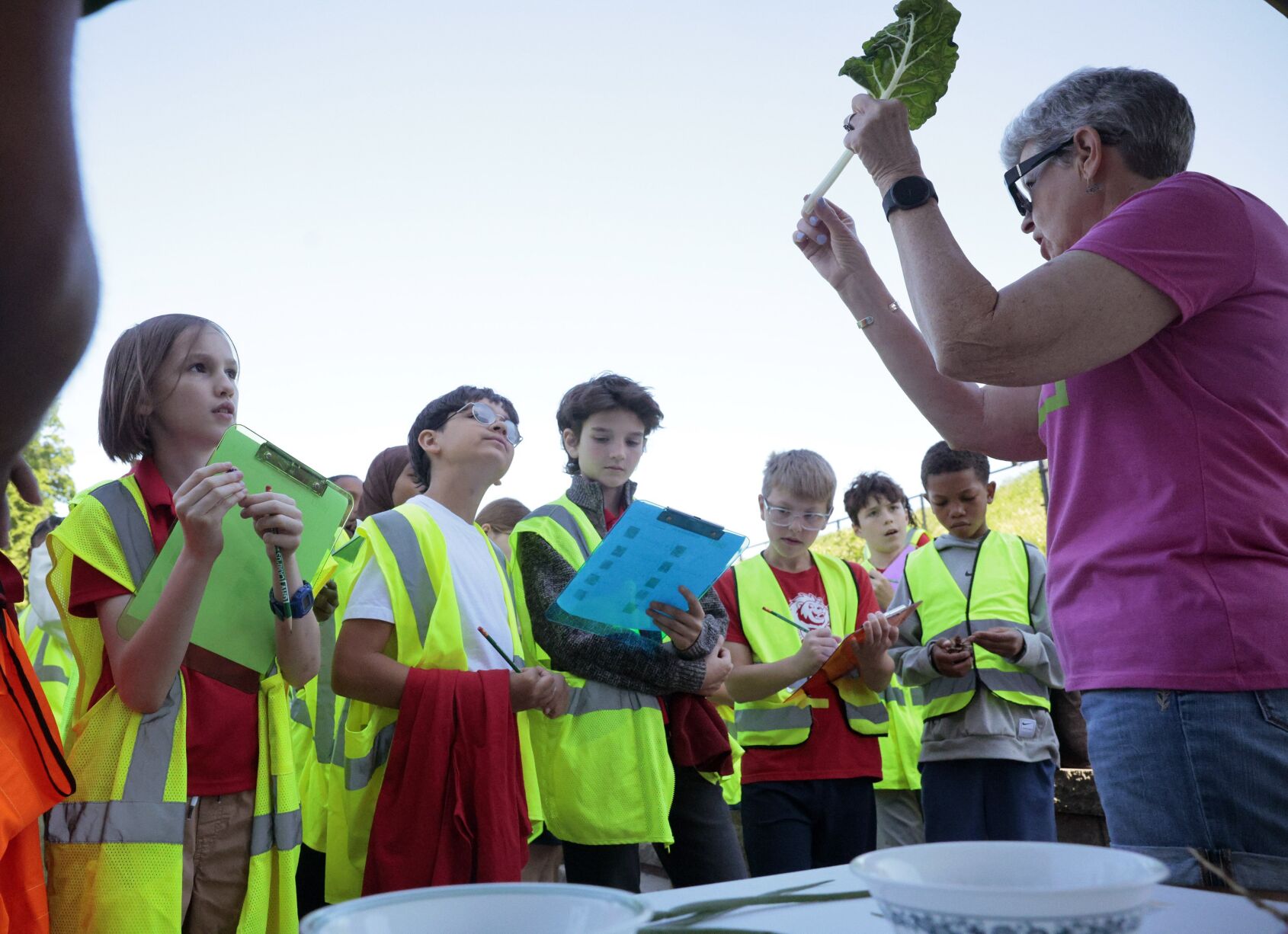 Photos: Green House Venture teaches gardening to St. Louis kids