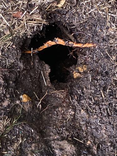 Sultan: The backyard battles intensify as a new enemy encroaches