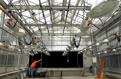 Danforth Center awarded $1 million research grant