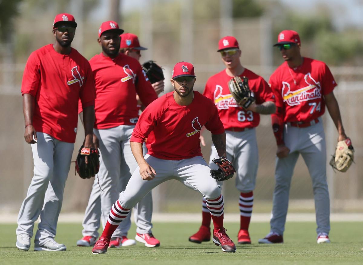 St Louis Cardinals Spring Training Facility | Paul Smith