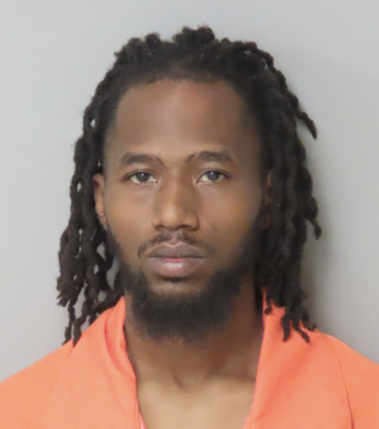 Florissant man charged in hit-and-run crash that killed pedestrian and dog