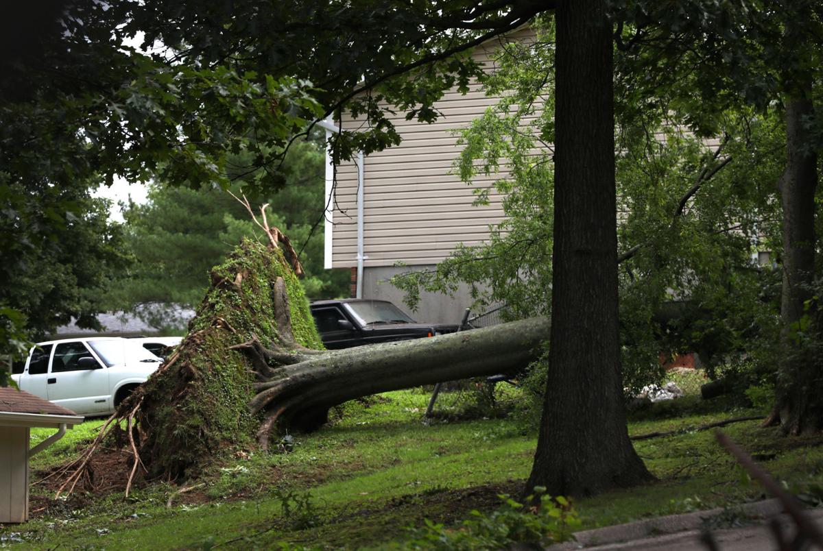 Heavy winds topple tree in Pevely, killing woman