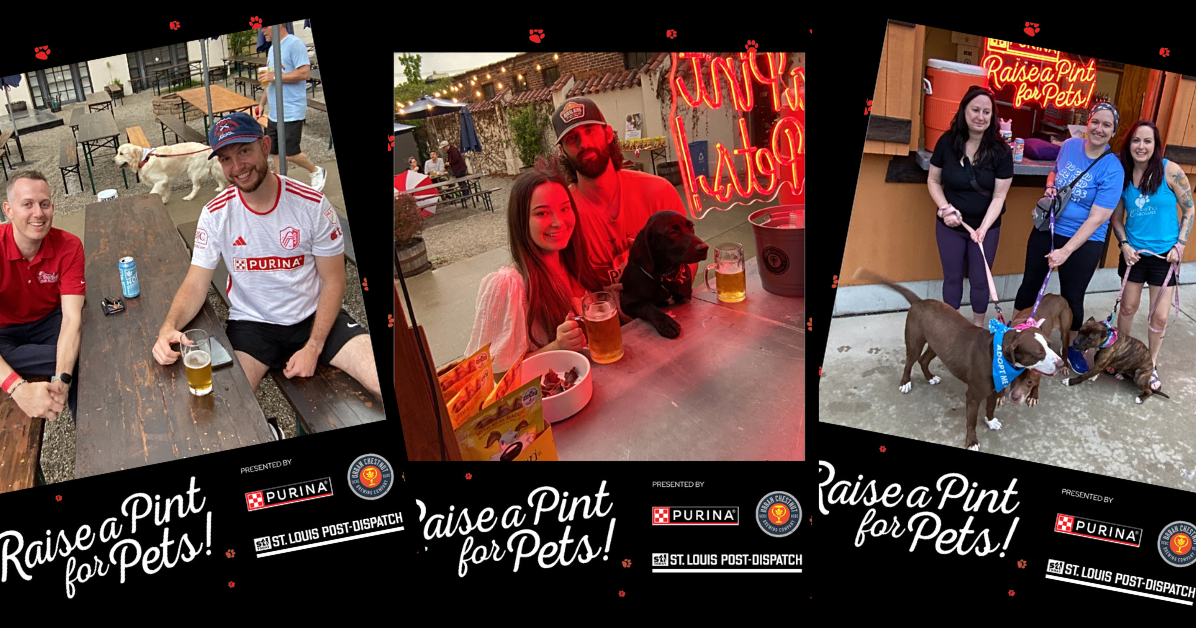 See who was at Raise a Pint for Pets!