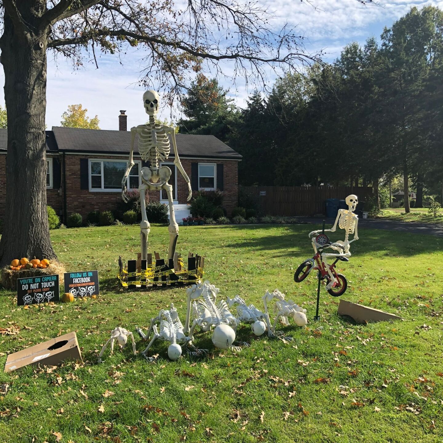 The skeletons of Kerth Road