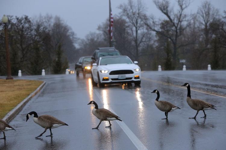 Rain in St. Louis bringing much-needed relief to region in drought