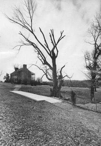 Daniel Boone celebration settles on June 7 in Defiance