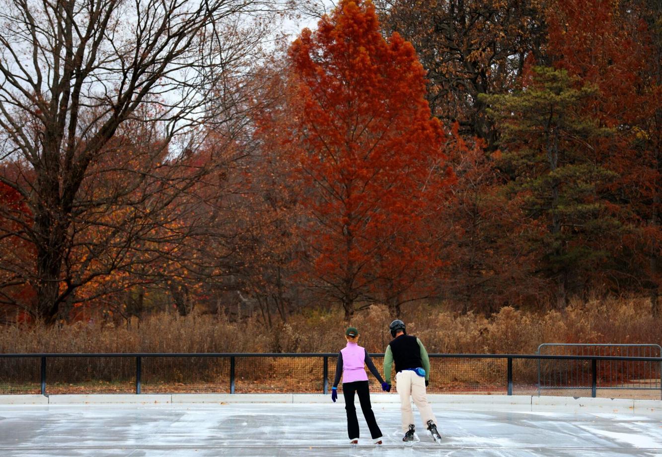 Photos and video: Steinberg Skating Rink opens for the season in Forest ...