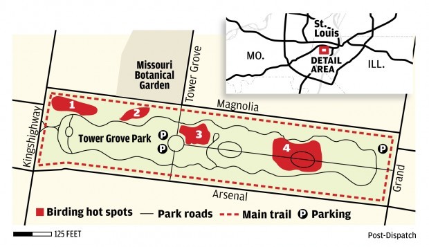 Tower Grove Park Birding Areas