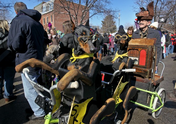Dog parade as bizarre as ever