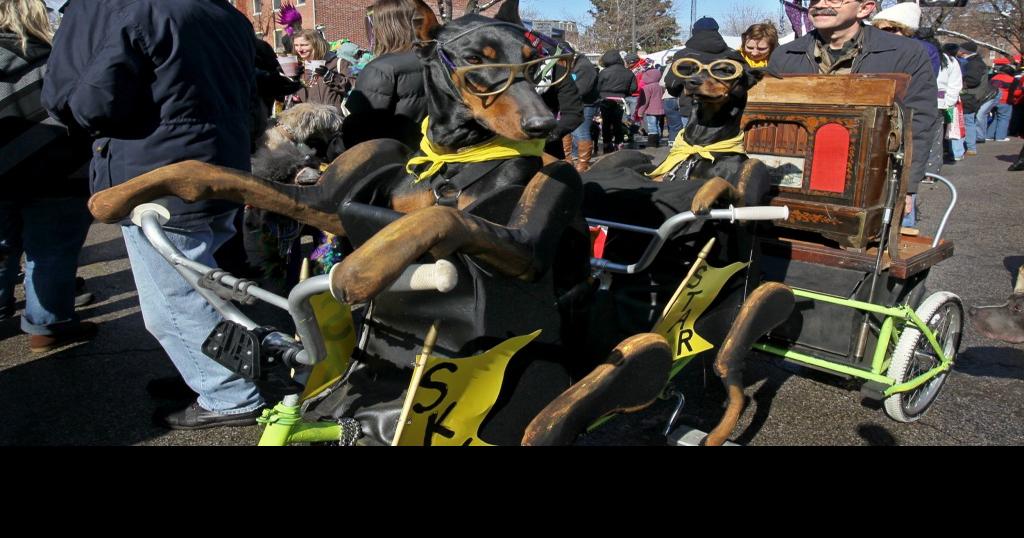 Dog parade as bizarre as ever